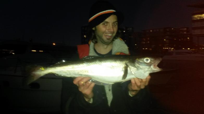 Klubbrekord liste » Nord-Jæren Havfiskeklubb - Med bøy på stanga i over ...