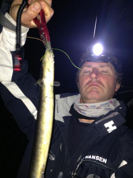 Klubbrekord liste » Nord-Jæren Havfiskeklubb - Med bøy på stanga i over ...